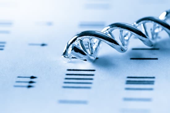 The Evolution of PGx: Unraveling the Power of Pharmacogenomics Testing